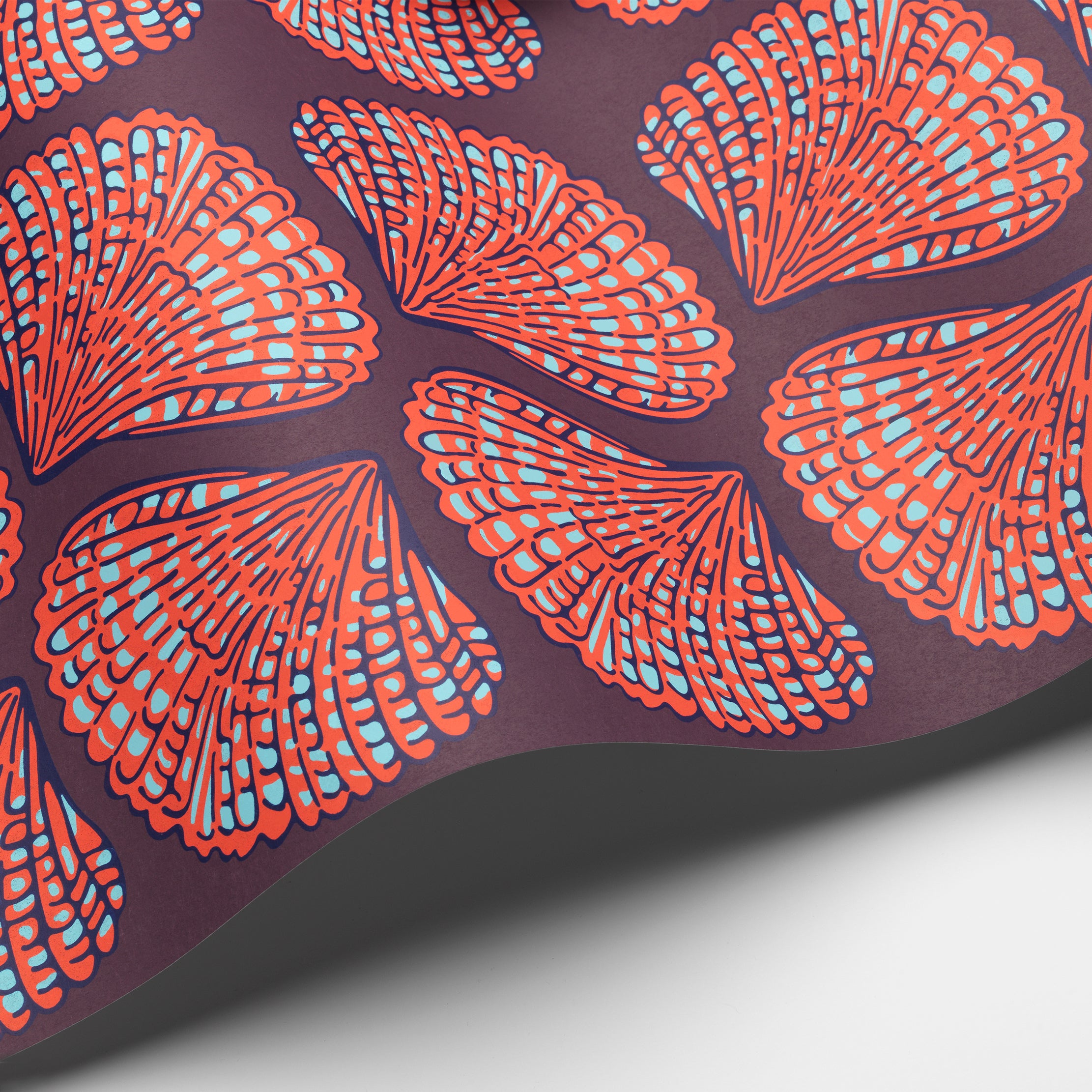 Herzmuscheln – Zeuxis & Parrhasius